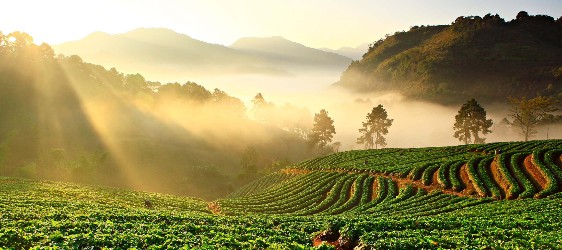 K2 International – Global Commodities