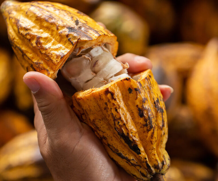 K2 International – Global Commodities