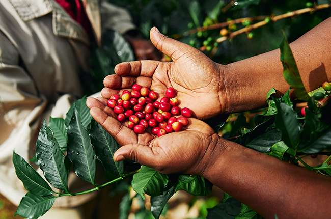 Agri Solutions – K2 International