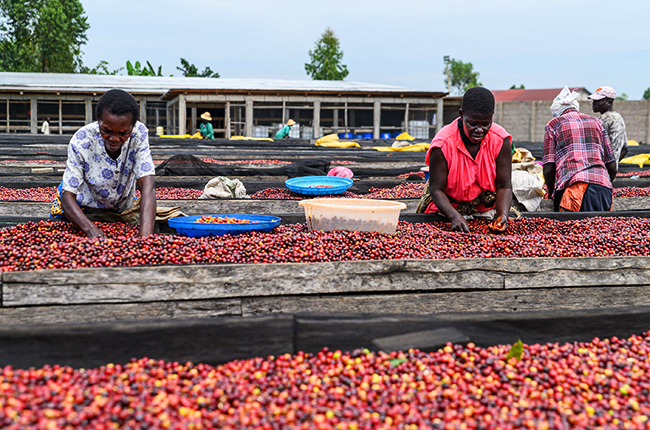 Value Chain – K2 International